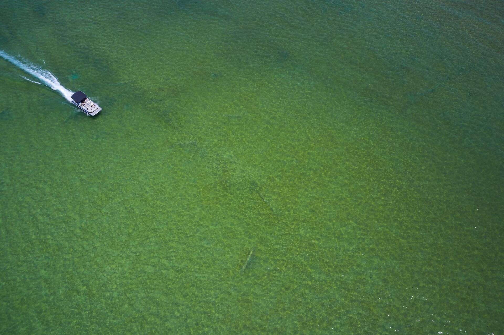 What To Know About Boating in Shallow Areas | ilearntoboat